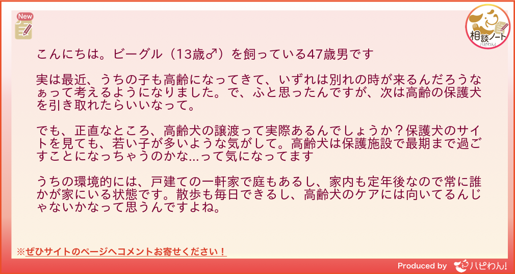 高齢の保護犬の譲渡について【ハピわん！みんなの相談ノート | ドッグトレーナー監修】